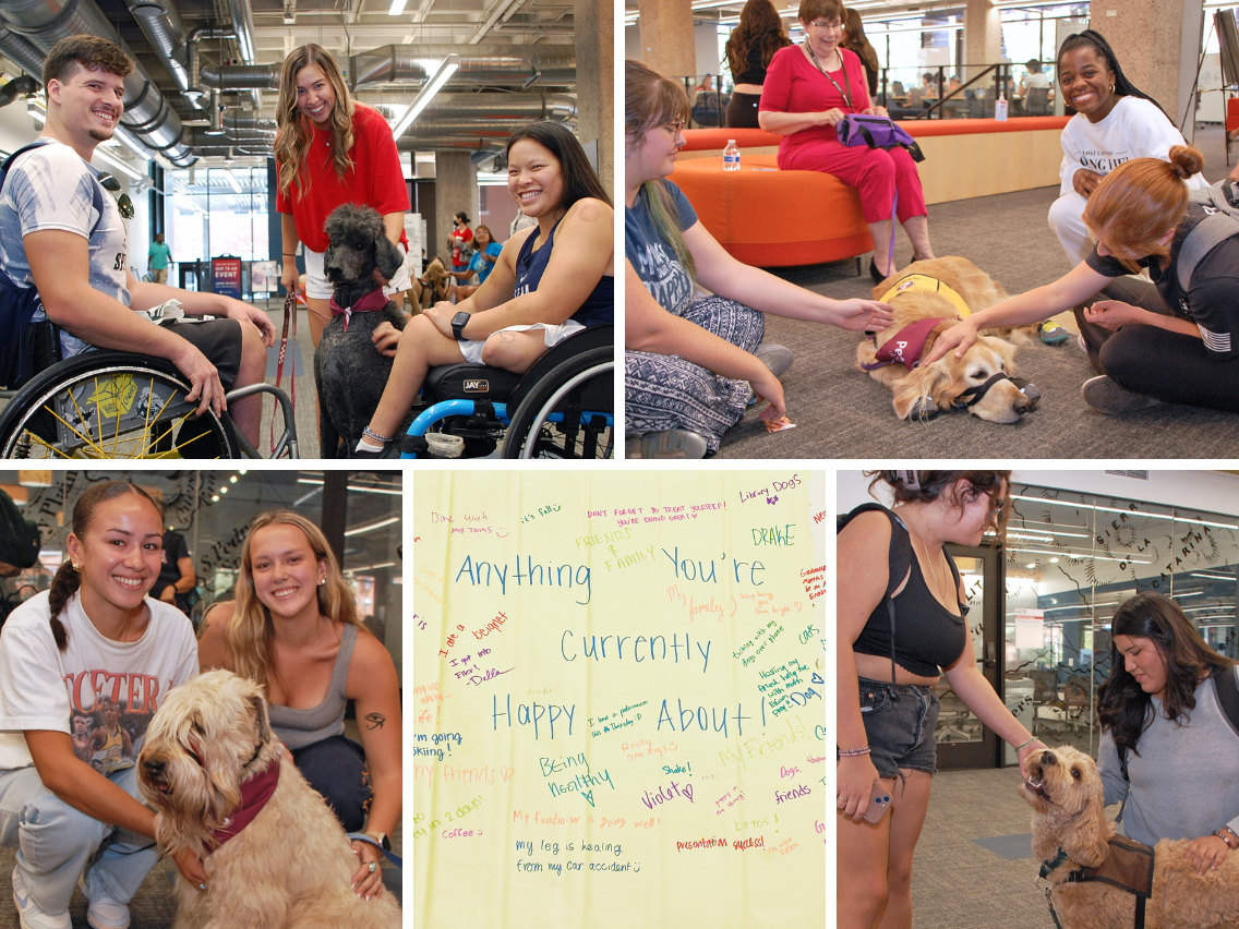 Pause for Paws fall 2023 midterms sees largest number of students to ...