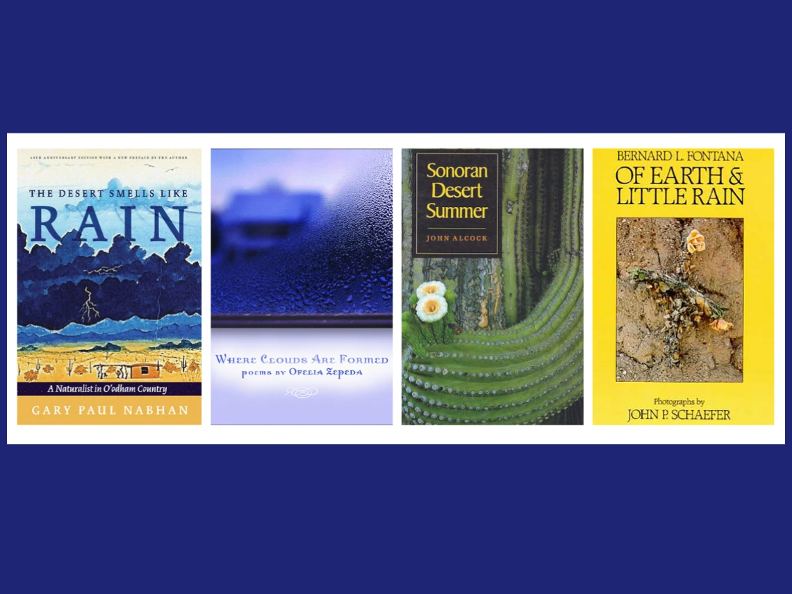 Monsoon season book recommendations from the University of Arizona ...